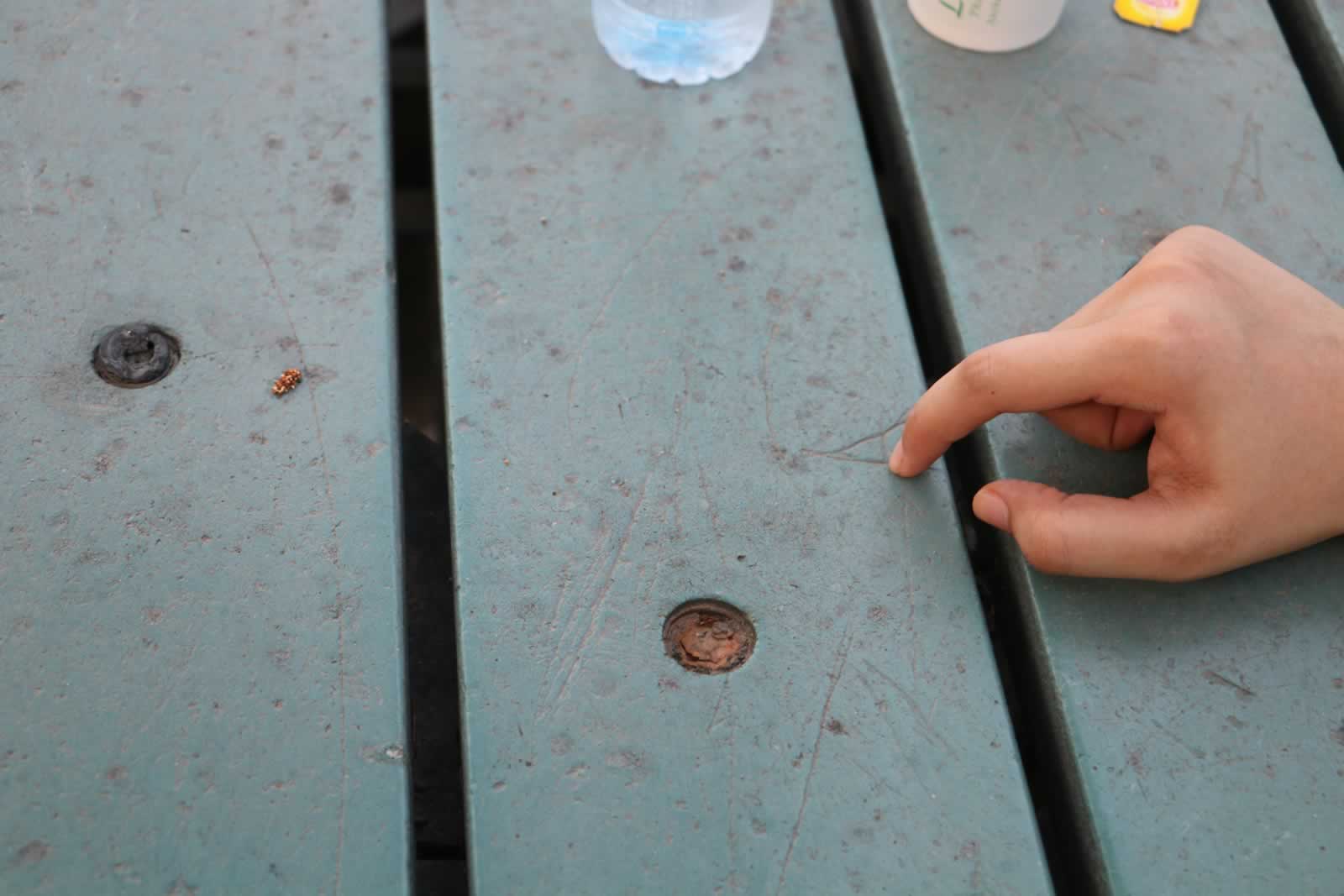 Orientation 2025 | LUMS